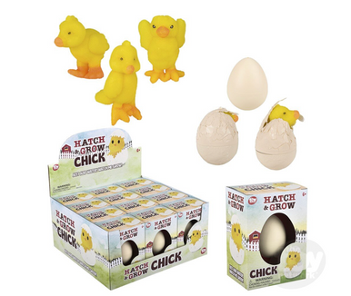Hatch and Grow Chick - Sage Explorers