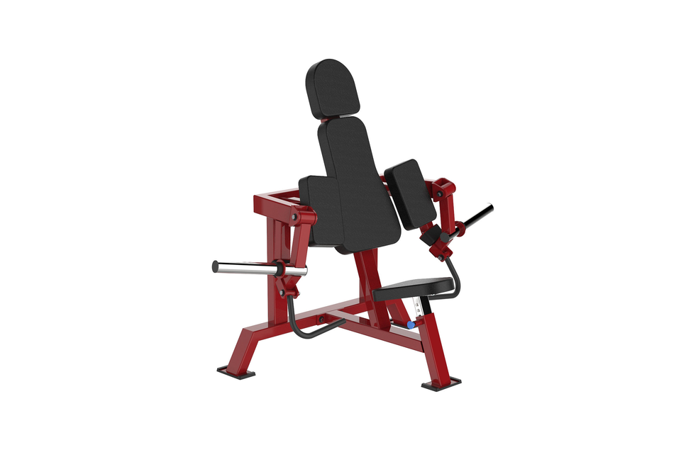 War Strength Seated Bicep Preacher Curl | GymStore.com