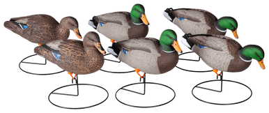 Northern Flight Full Body Mallard II Duck Decoys (4 Drakes & 2 Hens)
