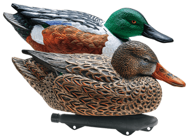 Northern Flight Shoveler Duck Decoys (4 Drakes & 2 Hens)
