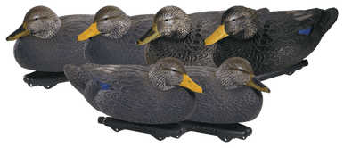 Northern Flight Black Duck Decoys