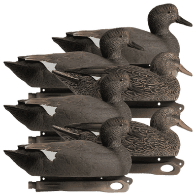 Hard Core Decoys Rugged Series Gadwall Duck Decoys (3 Drakes & 3 Hens)