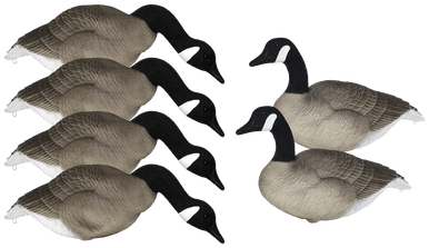 Mayhem Decoys Big Honker Painted-Head Full-Body Canada Goose Decoy Pack