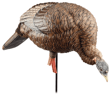 Avian-X HDR Heavy-Duty Realism Full-Body Feeder Hen Turkey Decoy