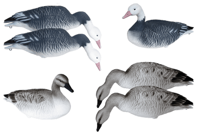 Mayhem Decoys Blue Goose and Juvie Snow Goose Decoy Combo
