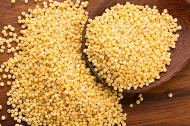 Organic Millet Bulk Size 25lbs/11.34 kgs
