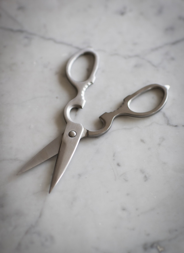 Stainless Steel Kitchen Scissors | Garden Trading