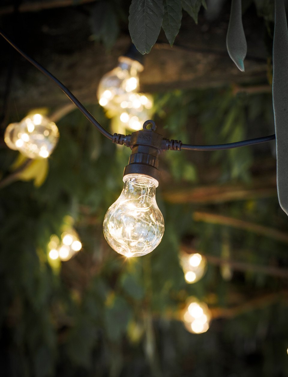 Festoon Lights Classic 20 Bulbs | Garden Trading