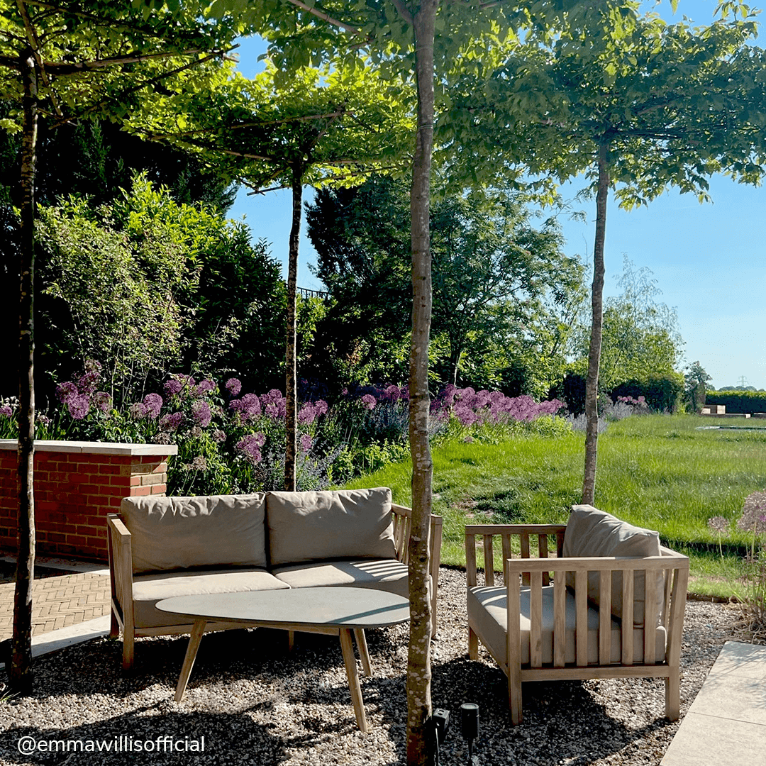 Your Questions About Emma Willis’ Garden - Garden Trading
