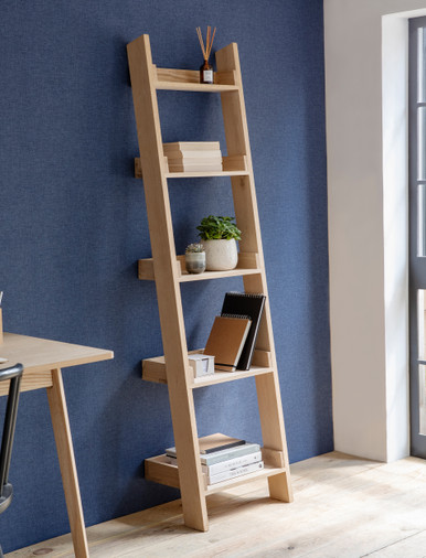 Ladder style shelf store