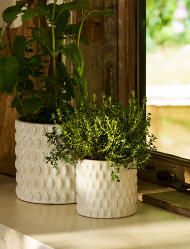 Blewbury Bobble Pot 11cm White | Garden Trading