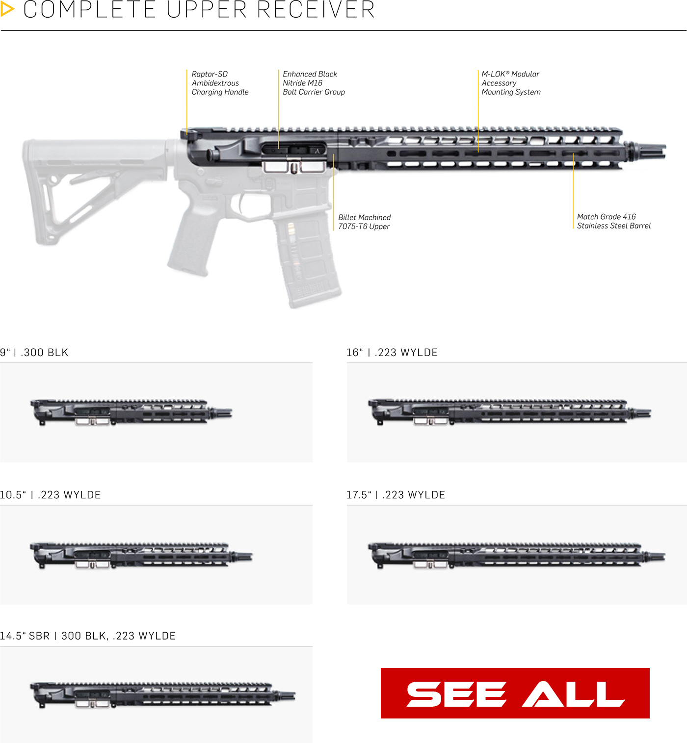 Radian Model 1 Complete Upper (9" 300BLK Barrel) | Wing Tactical