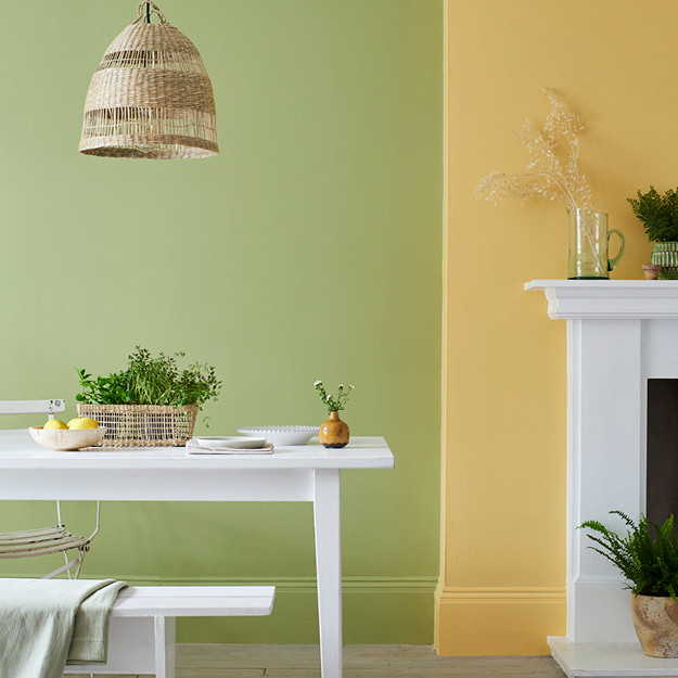 Mustard Kitchen Wall & Ceiling Paint - Matt Yellow