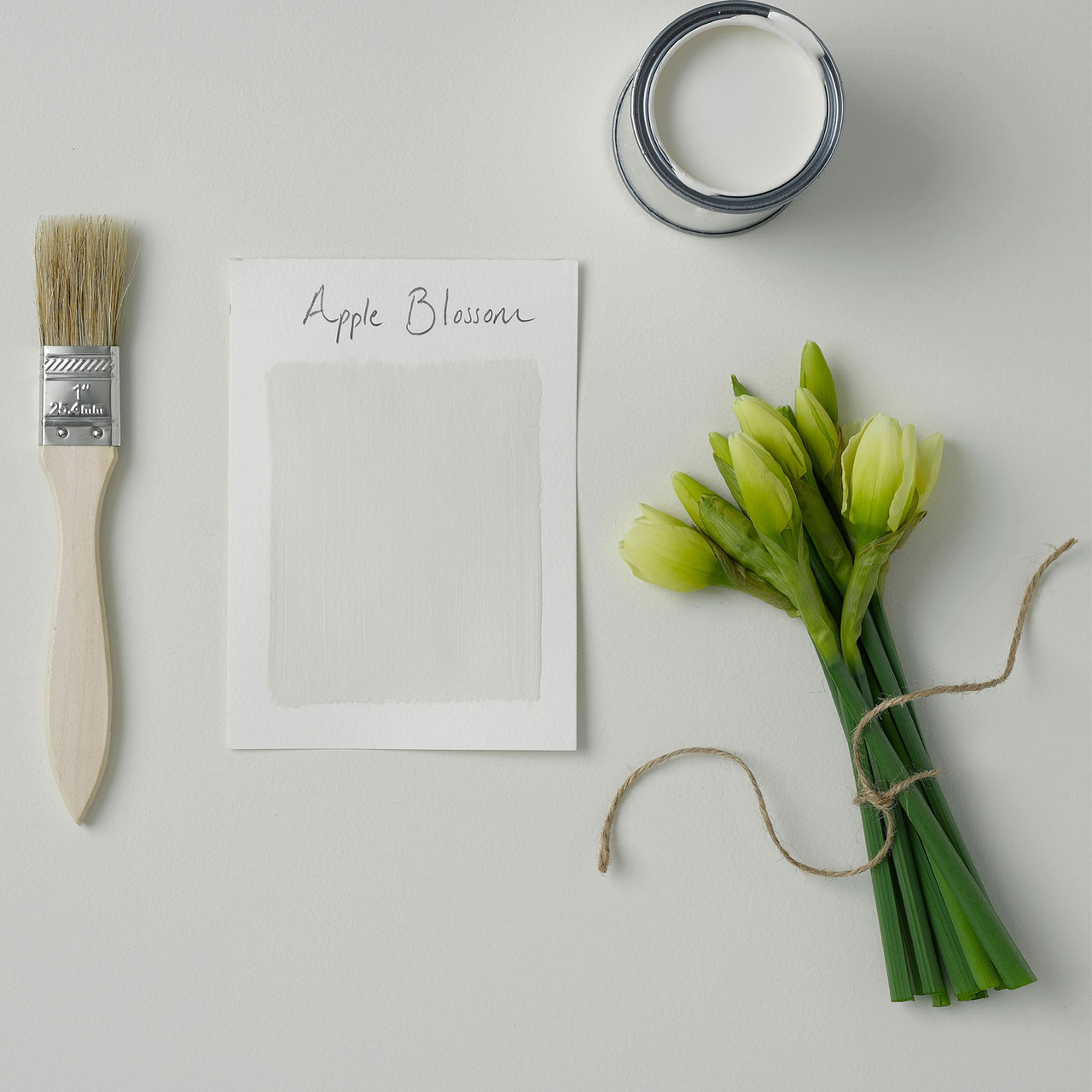 Rust-Oleum Washable Green Matt Wall Paint - Apple Blossom - Rust-oleum UK