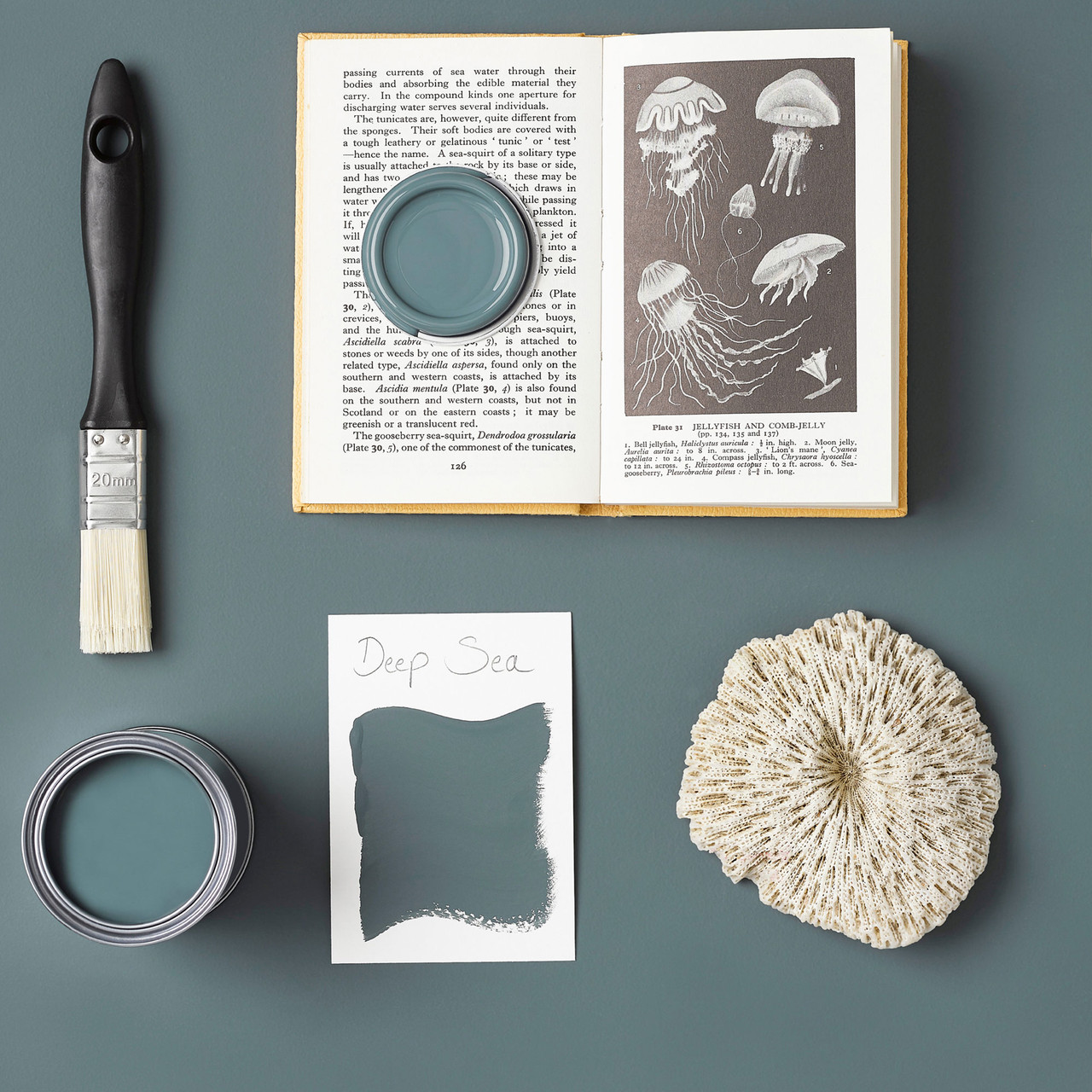 Washable Matt Wall Paint - DEEP SEA - Rust-oleum
