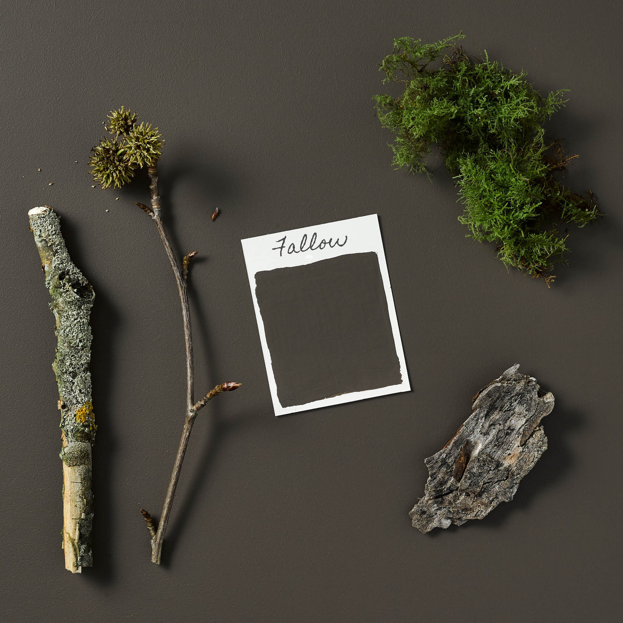 Fallow Furniture & Trim Paint - Matt Brown Finish