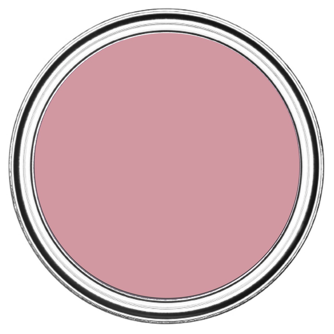 Guardian Mould Resistant Interior Wall Paint - Dusky Pink