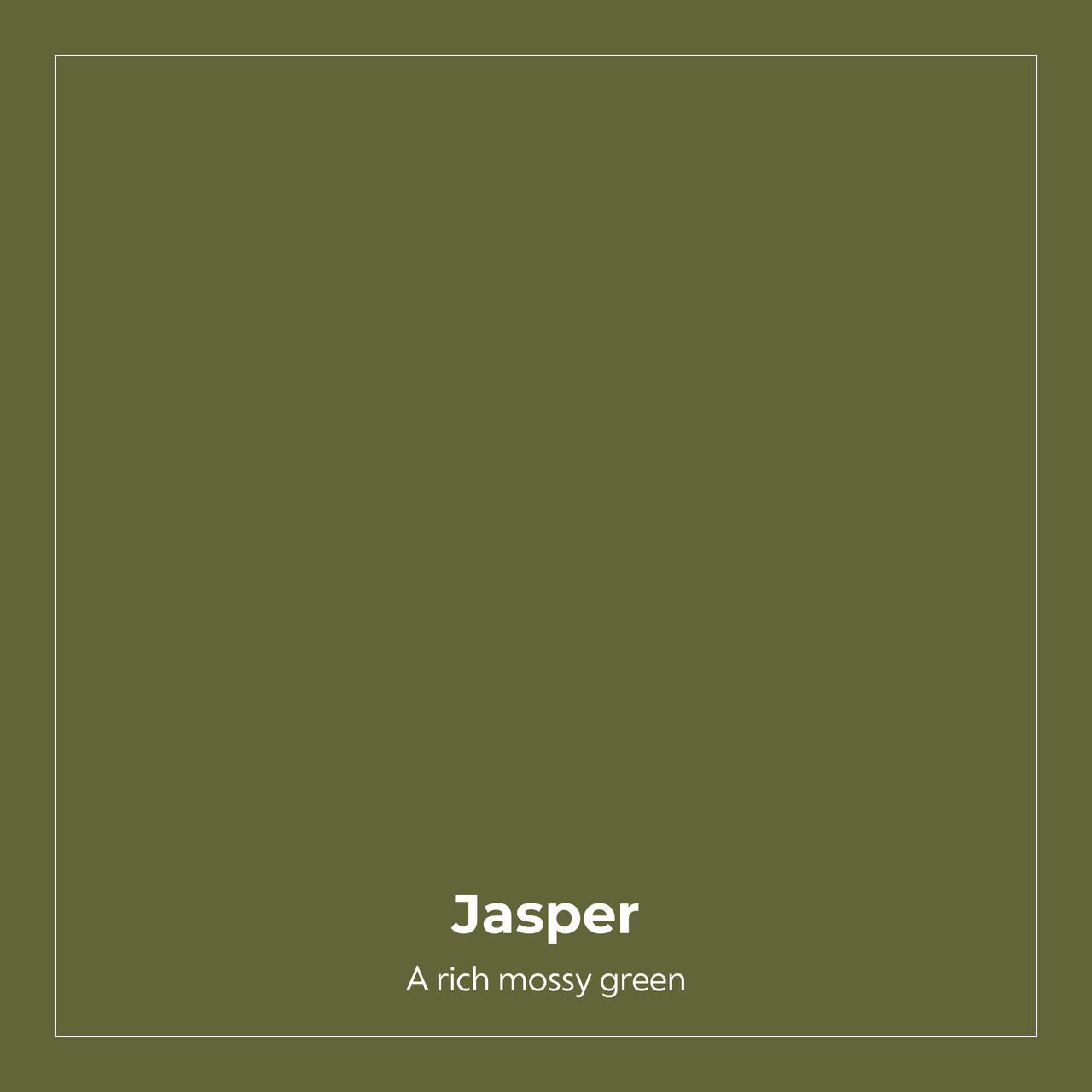 Guardian Mould Resistant Interior Wall Paint - Jasper
