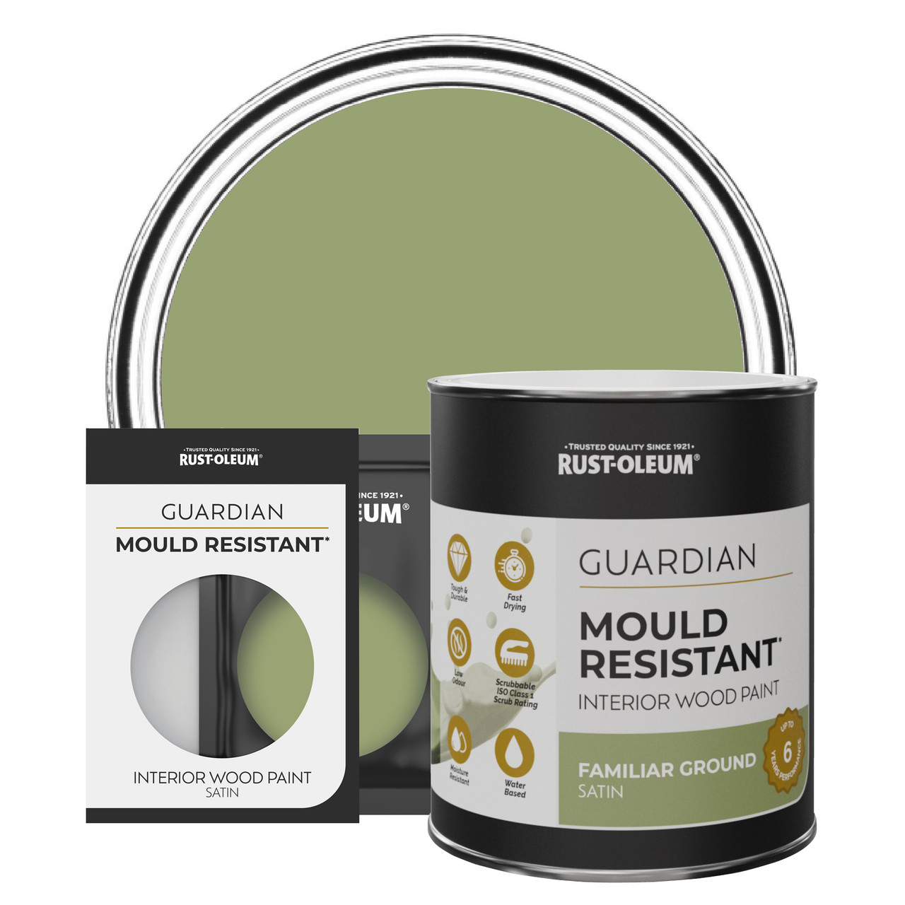 Guardian Mould Resistant Interior Wood Paint, Satin Finish - Familiar ...