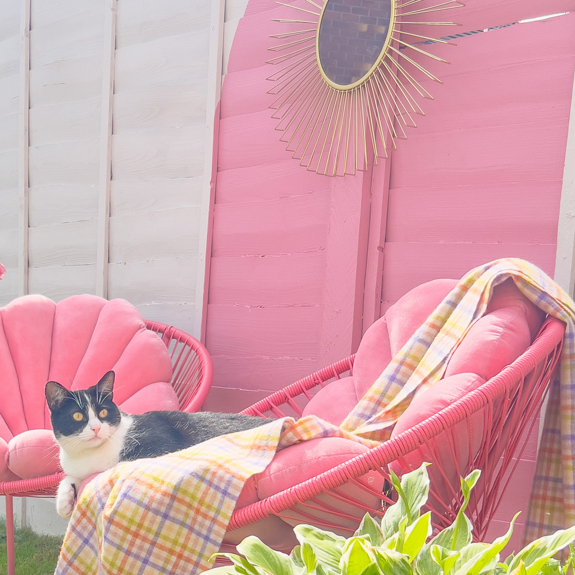 Dusky Pink Garden Paint - Matt Pink | Rust-Oleum