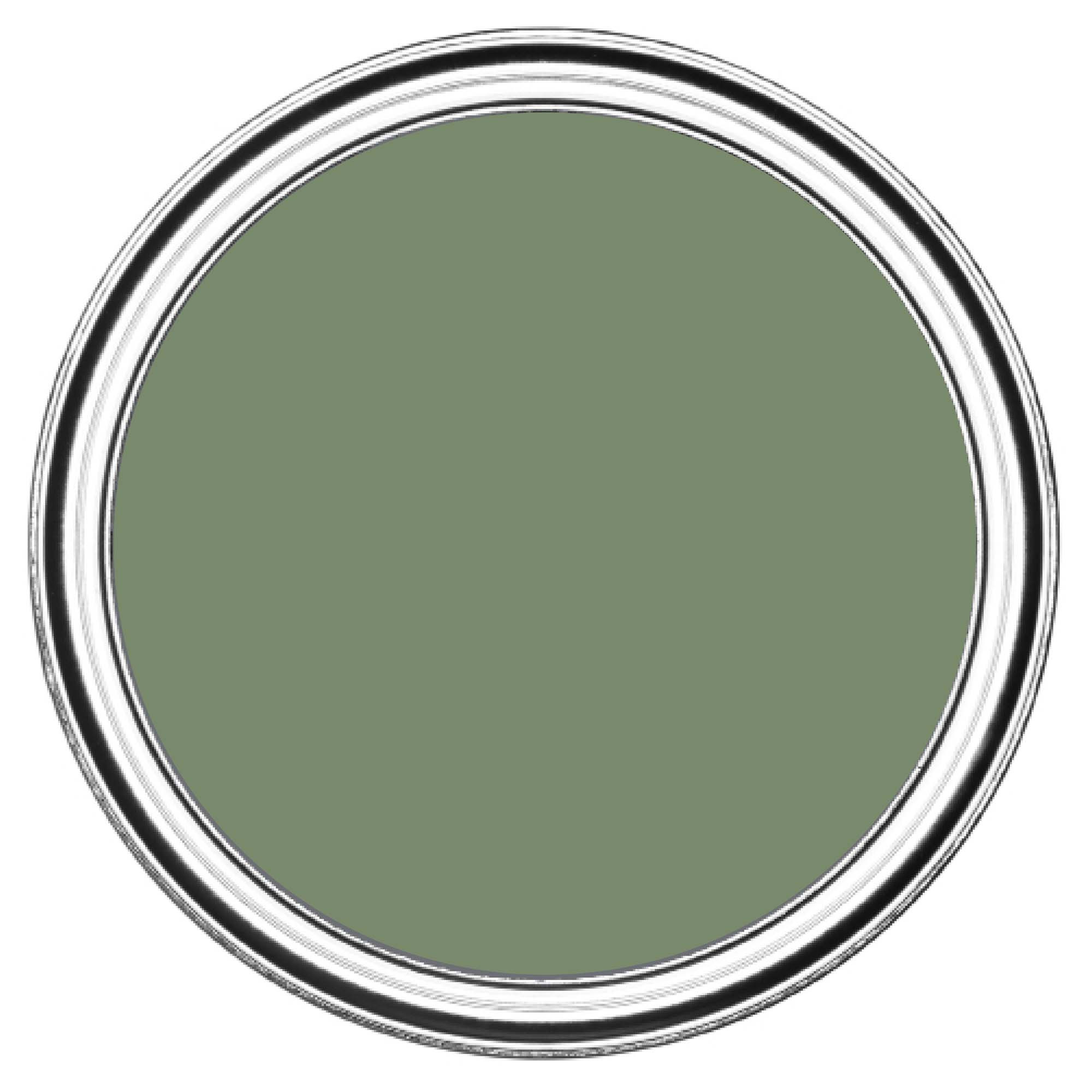 All Green Wall & Ceiling Paint - Matt Green Finish | Rust-Oleum