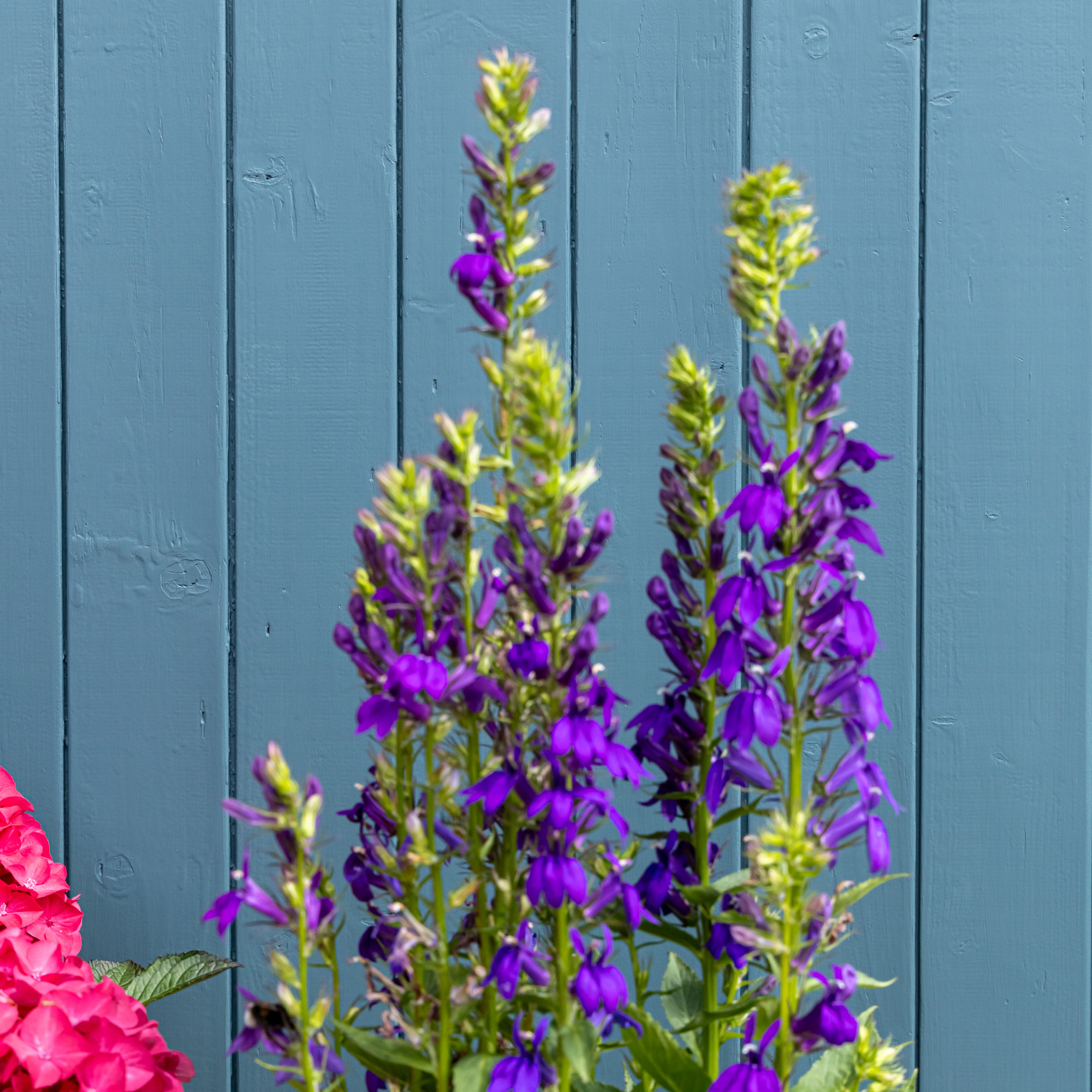 Deep Sea Garden Paint - Matt Green | Rust-Oleum