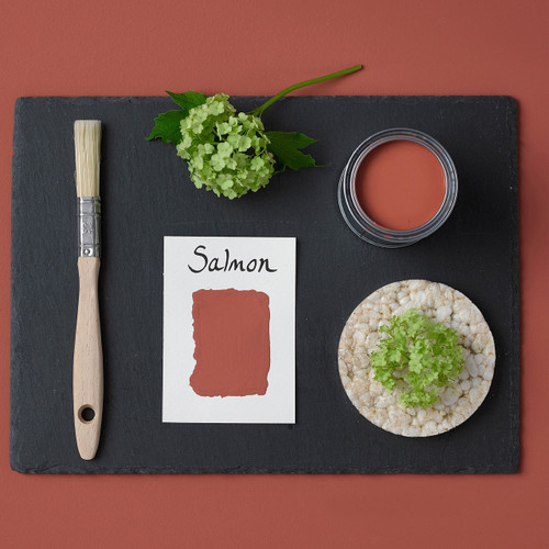 Interior Wood Paint Samples - Fiery Shades Tester Box
