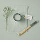 Laurel Green Kitchen Wall & Ceiling Paint - Matt Green