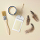 Floor (Wood & Concrete) Paint Samples - Elegant Whites Tester Box