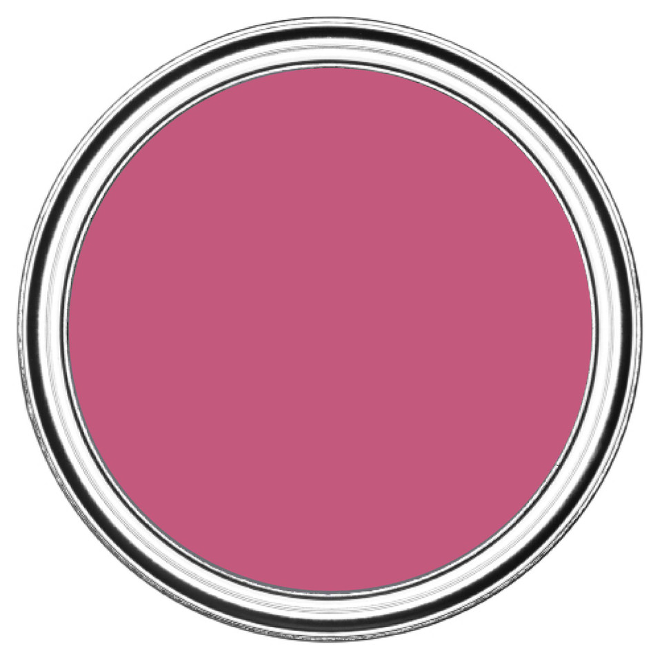 Raspberry Ripple Garden Paint - Matt Pink | Rust-Oleum
