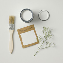 Floor (Wood & Concrete) Paint Samples - Elegant Whites Tester Box