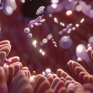 Fixes for Gut and Microbiome Health - Harmany Equine Shop