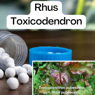 Rhus Tox- Rhus Toxicodendron