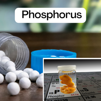Phosphorus
