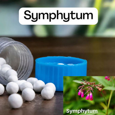 Symphytum