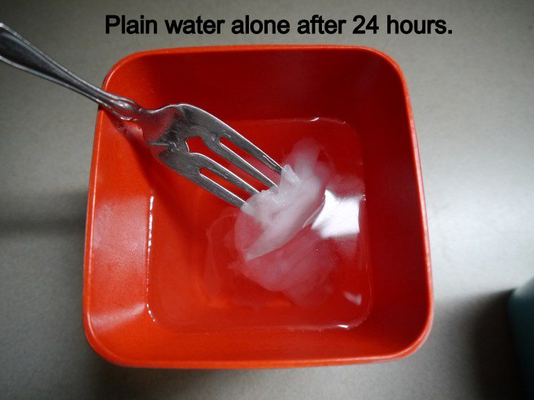 Noflex Digestor waste treatment - Best price from MarineSan.com