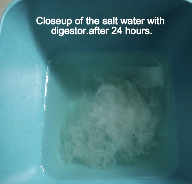 Noflex Digestor waste treatment - Best price from MarineSan.com