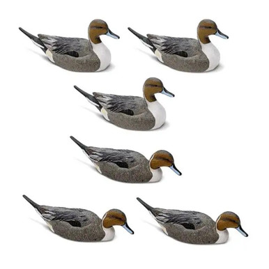 Rig'Em Right Pintail Decoys Six Pack - Sportsman Fulfillment