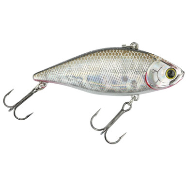 Lucky Craft LV 500 Lipless Crankbait 3" BP Golden Shiner - Sportsman ...
