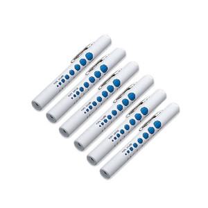 Pen Torch Disposable with Pupil Gauge (pack of 6) | Four Square ...