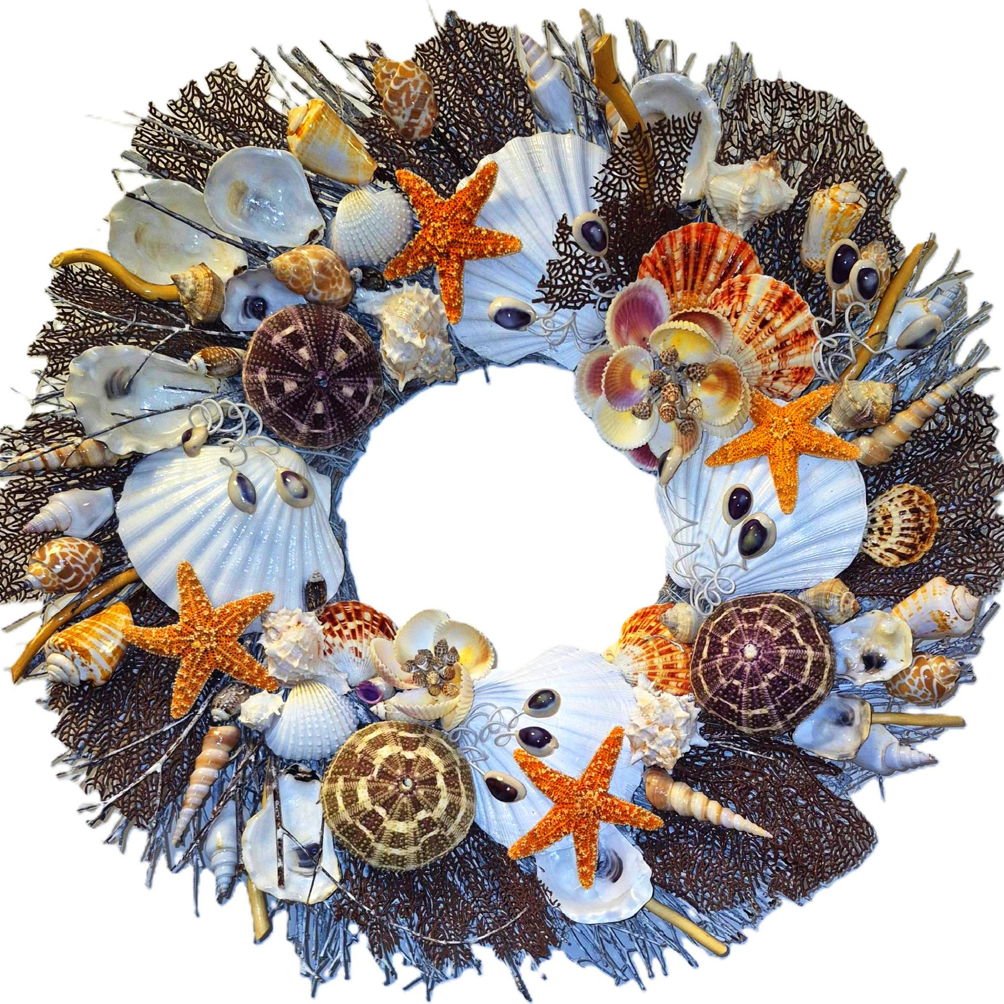 Seashell Wreath on White Twig with Sea Fans & Exotic Sea Urchins in 2 ...