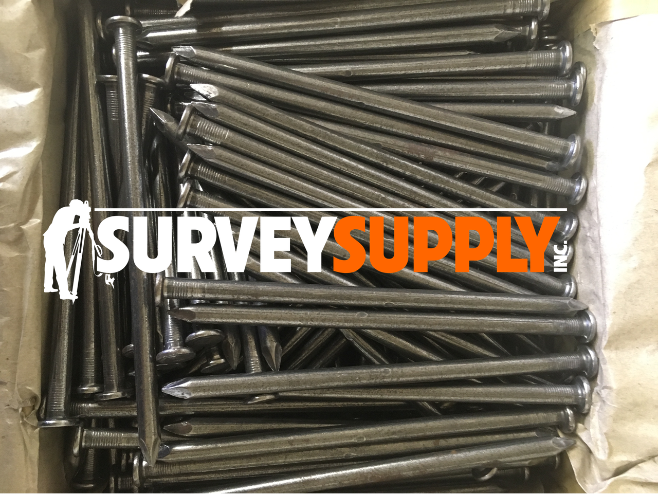 8-inch Bright Spikes | 8-inch Spike Nails | Survey Supply, Inc.