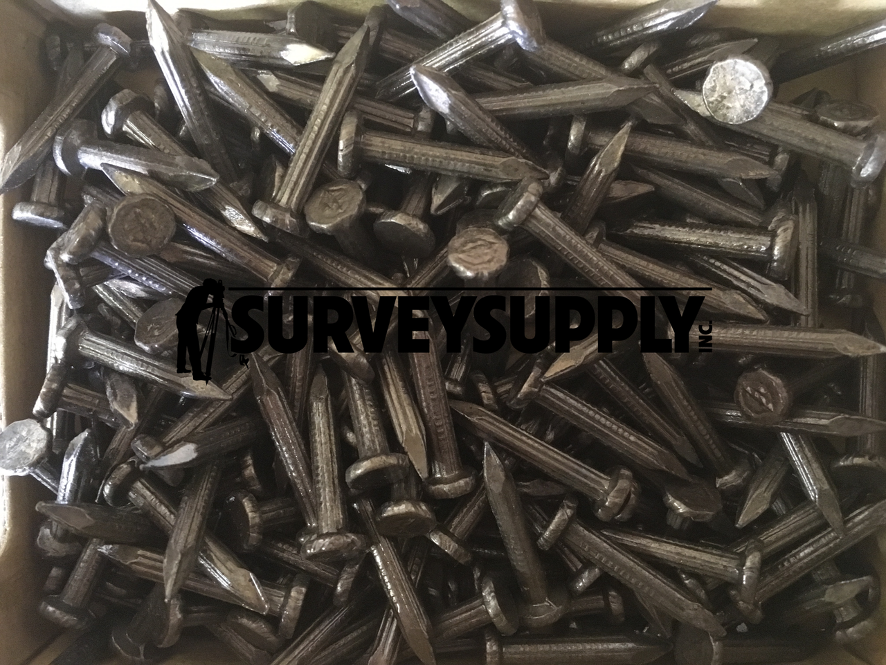 1 Inch Fluted Masonry Nails (1 lb. Box) | Survey Supply, Inc.