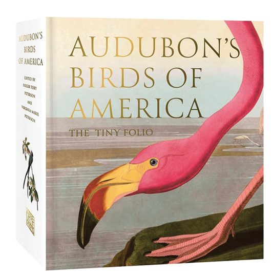 John James Audubon: The Legacy of an American Visionary - MFA Boston ...