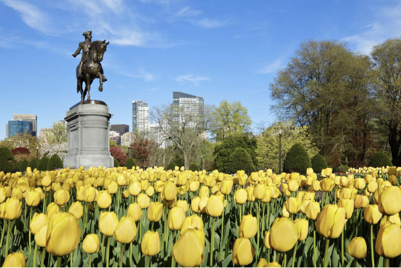 Spring is in Bloom: Step into the Season with the MFA - MFA Boston Shop ...