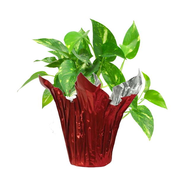 Red Matte Metallic Kwik-Covers - Decorative Potted Plant Covers