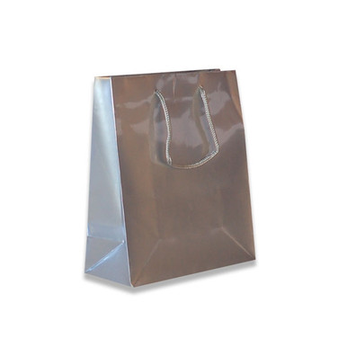 100 Bags - Silver Gloss Laminated Euro Paper Bags - 8" x 4" x 10"