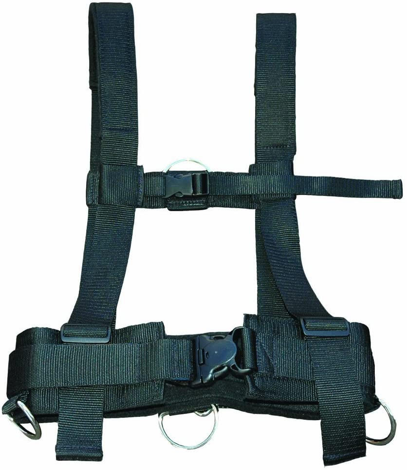 WORKHORSE HARNESS