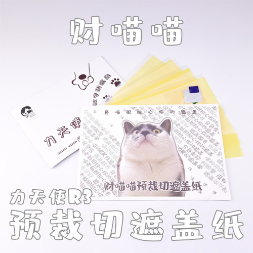 Fortune Meow MG Dynames R3 Masking Set - Modeller's Workshop