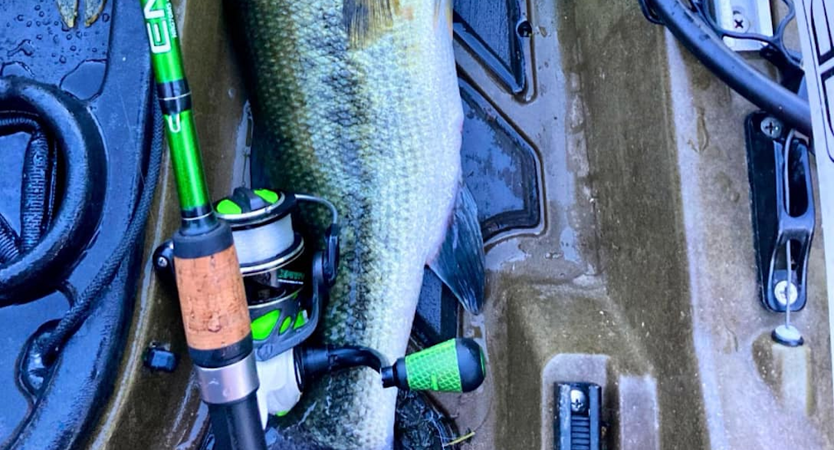 The Ultimate Guide to Medium Heavy Spinning Rods for Bass Fishing ...